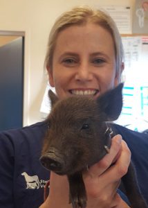 Lisa - Stoke Veterinary Hospital